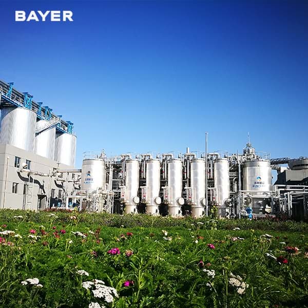 Bayer Company | Talks